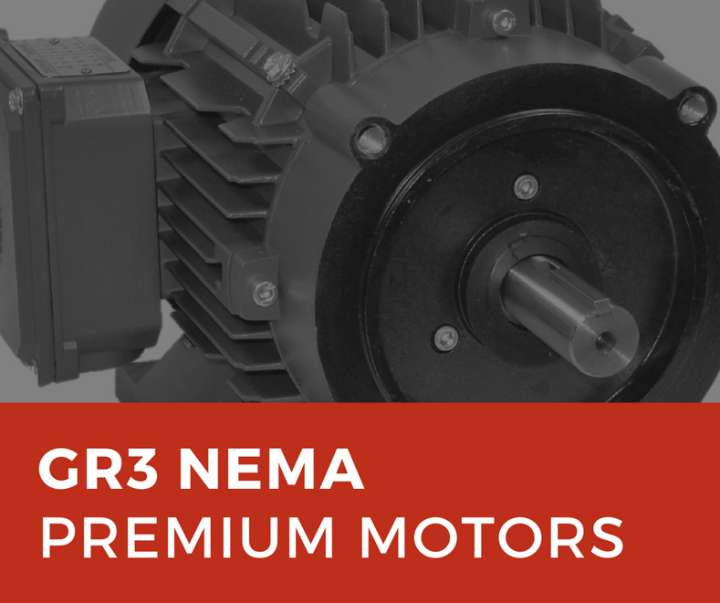 GR3 NEMA Premium Motors